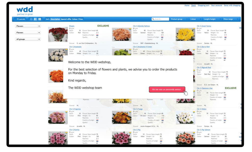 WDD | Español - WDD